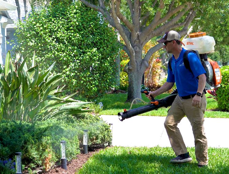 Why Mosquito Control Matters in Bradenton & Sarasota