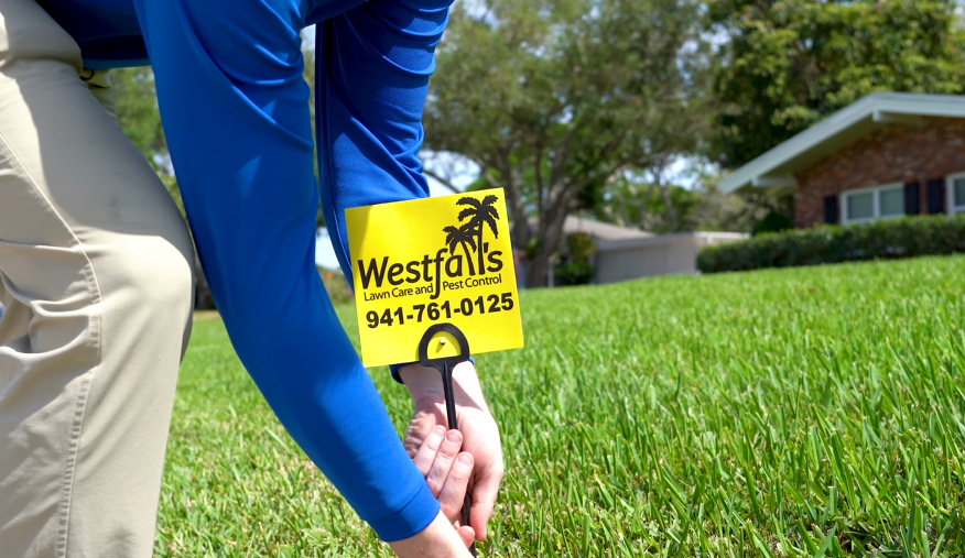 Fall Lawn Care Tips for Manatee County, FL