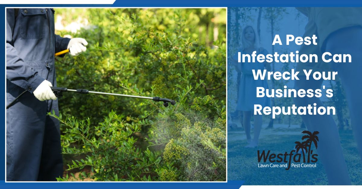 A Pest Infestation Can Wreck Your Business's Reputation